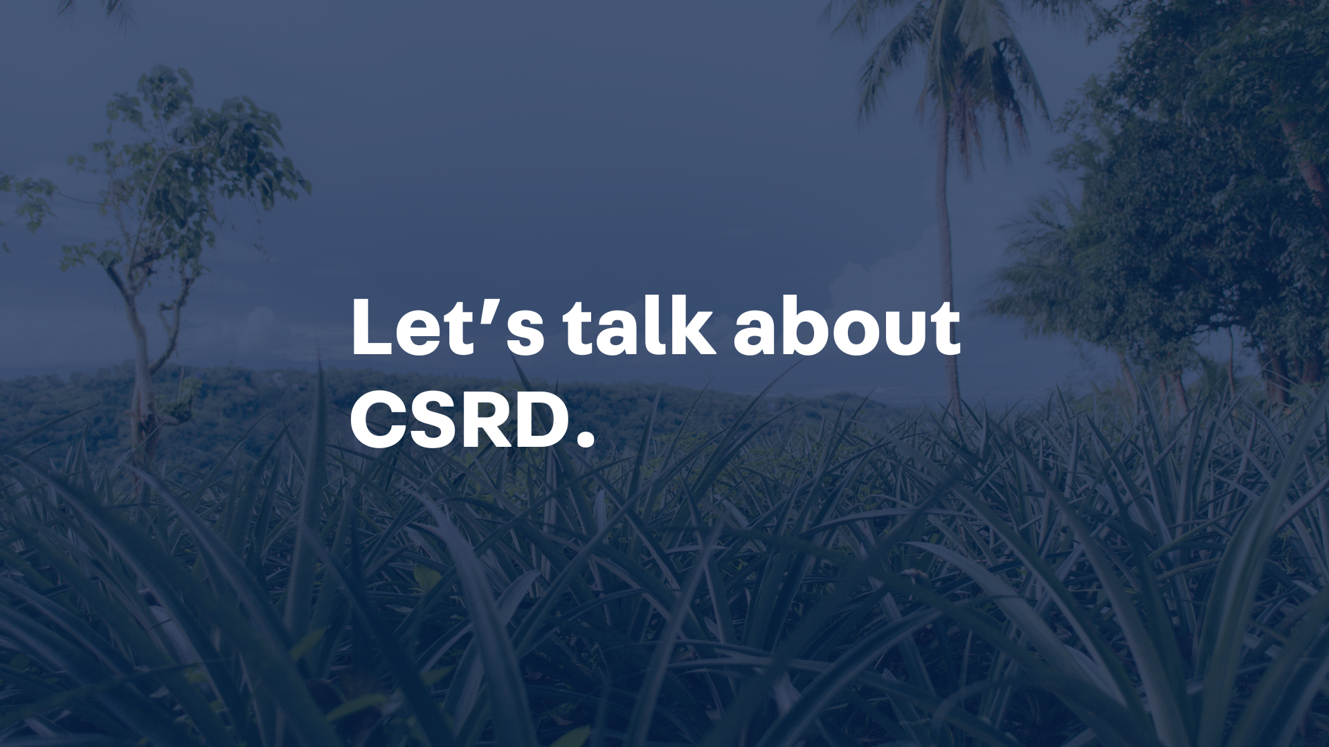 The CSRD Mandate: A Strategic Advantage in Sustainability Reporting ...